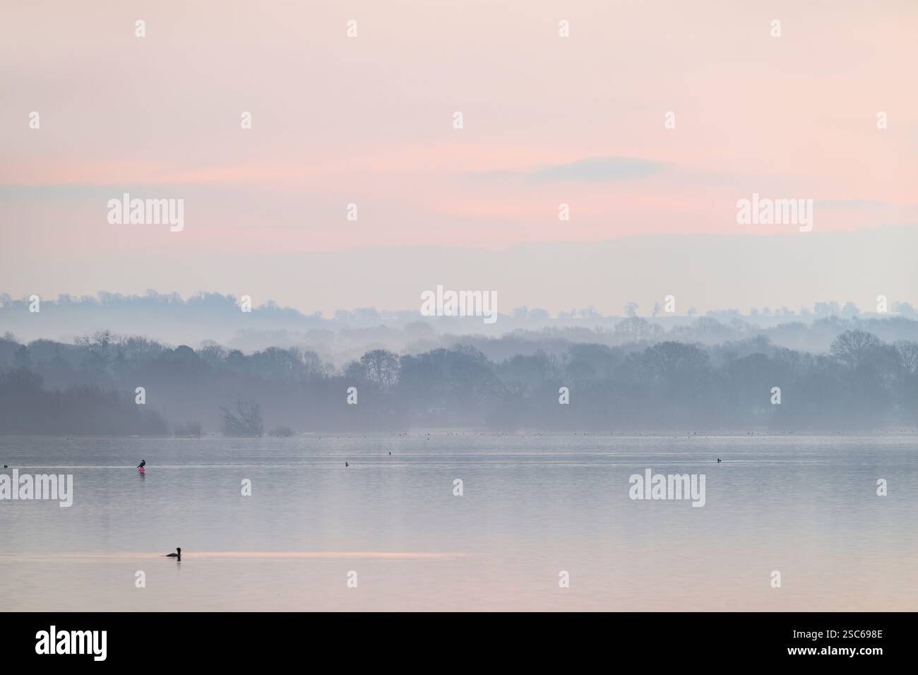 Misty morning with pale Sunrise at Blagdon lake, Somerset, UK Stock ...