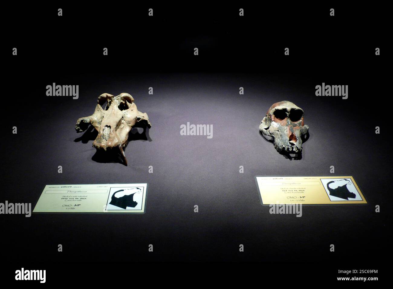 Ethiopian National Museum (Addis Ababa - Ethiopia Stock Photo - Alamy