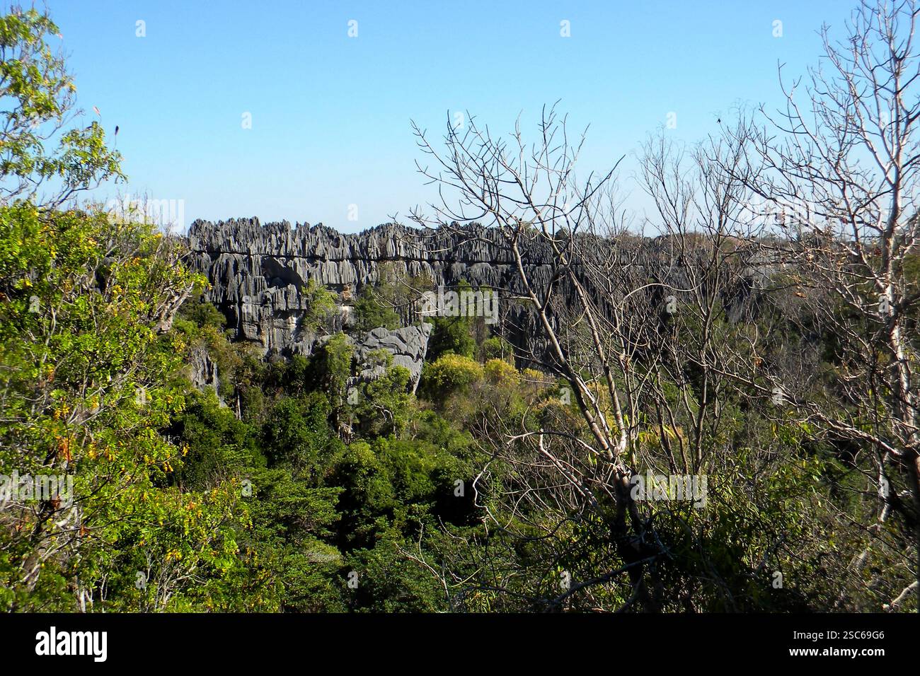 Madagascar. Bemaraha Natural Reserve. Tsingy Stock Photo - Alamy