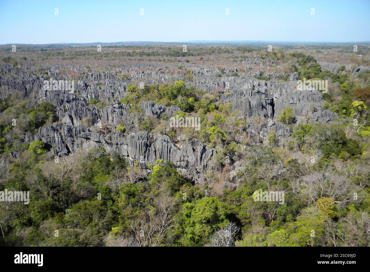 Madagascar. Bemaraha Natural Reserve. Landscape Stock Photo - Alamy