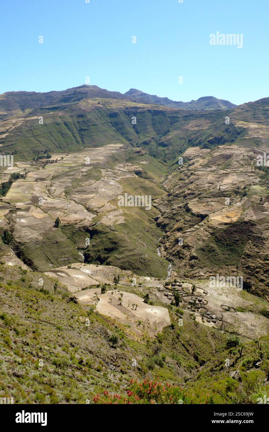 Ethiopian Southern Alpine Landscape. (ethiopia Stock Photo - Alamy