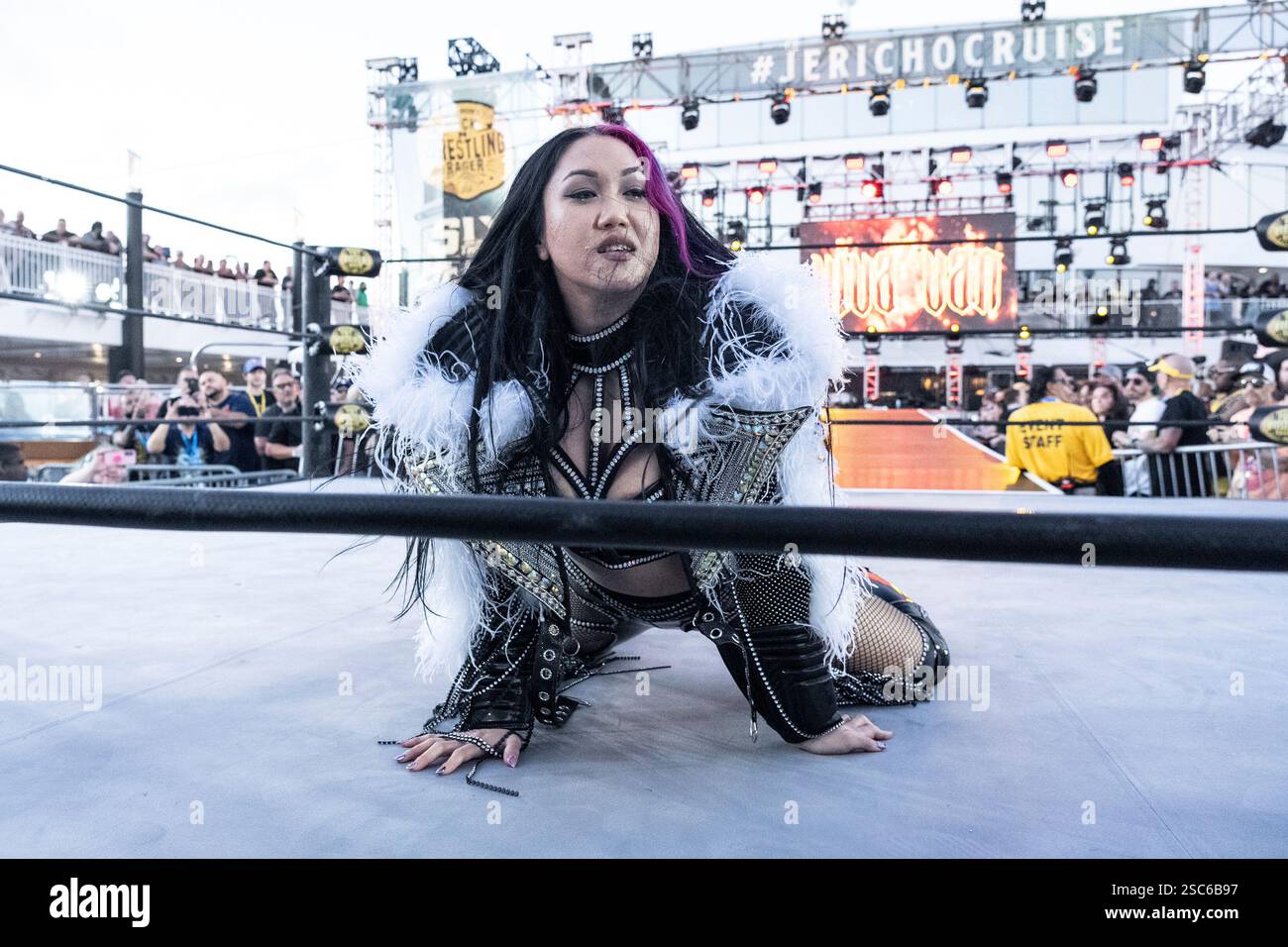 Viva Van is seen during Chris Jericho's Rock 'N' Wrestling Rager at Sea ...