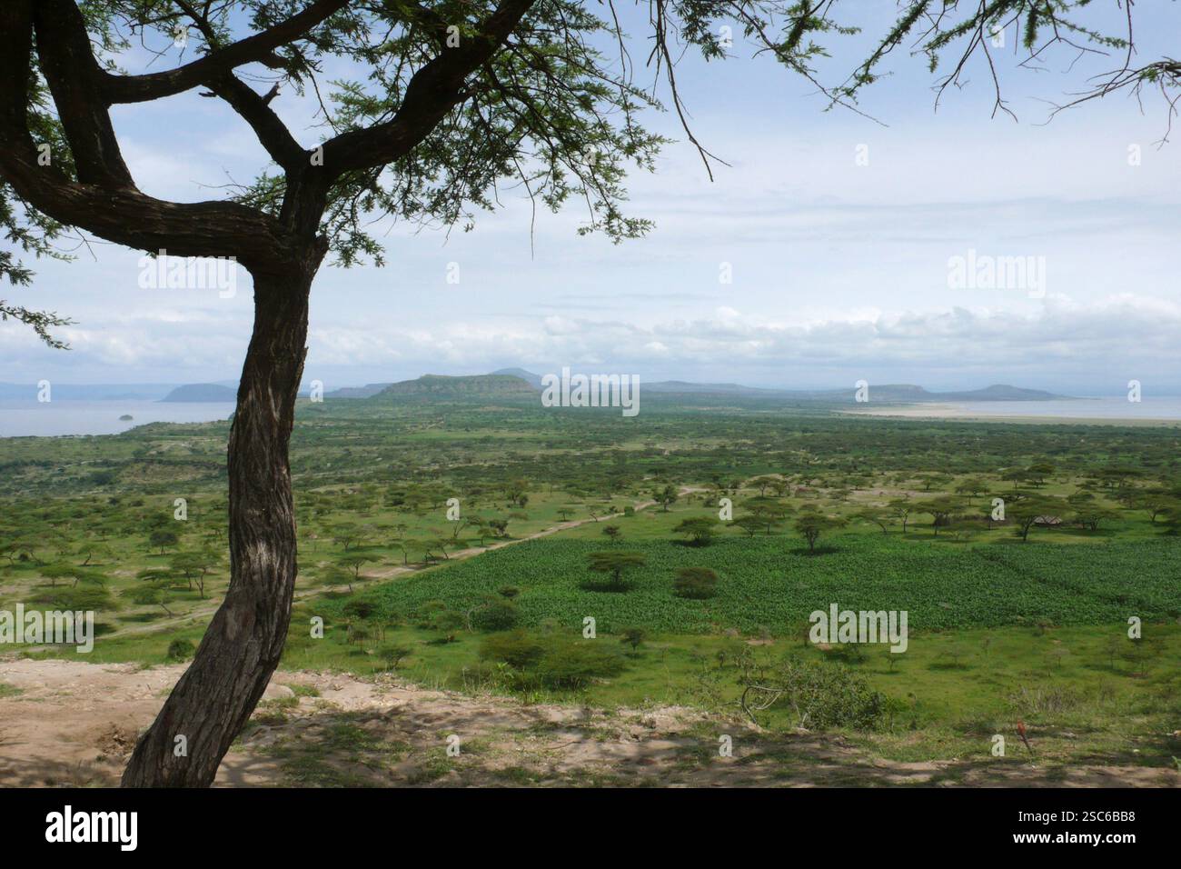 African landscape (around Lake Langano Stock Photo - Alamy