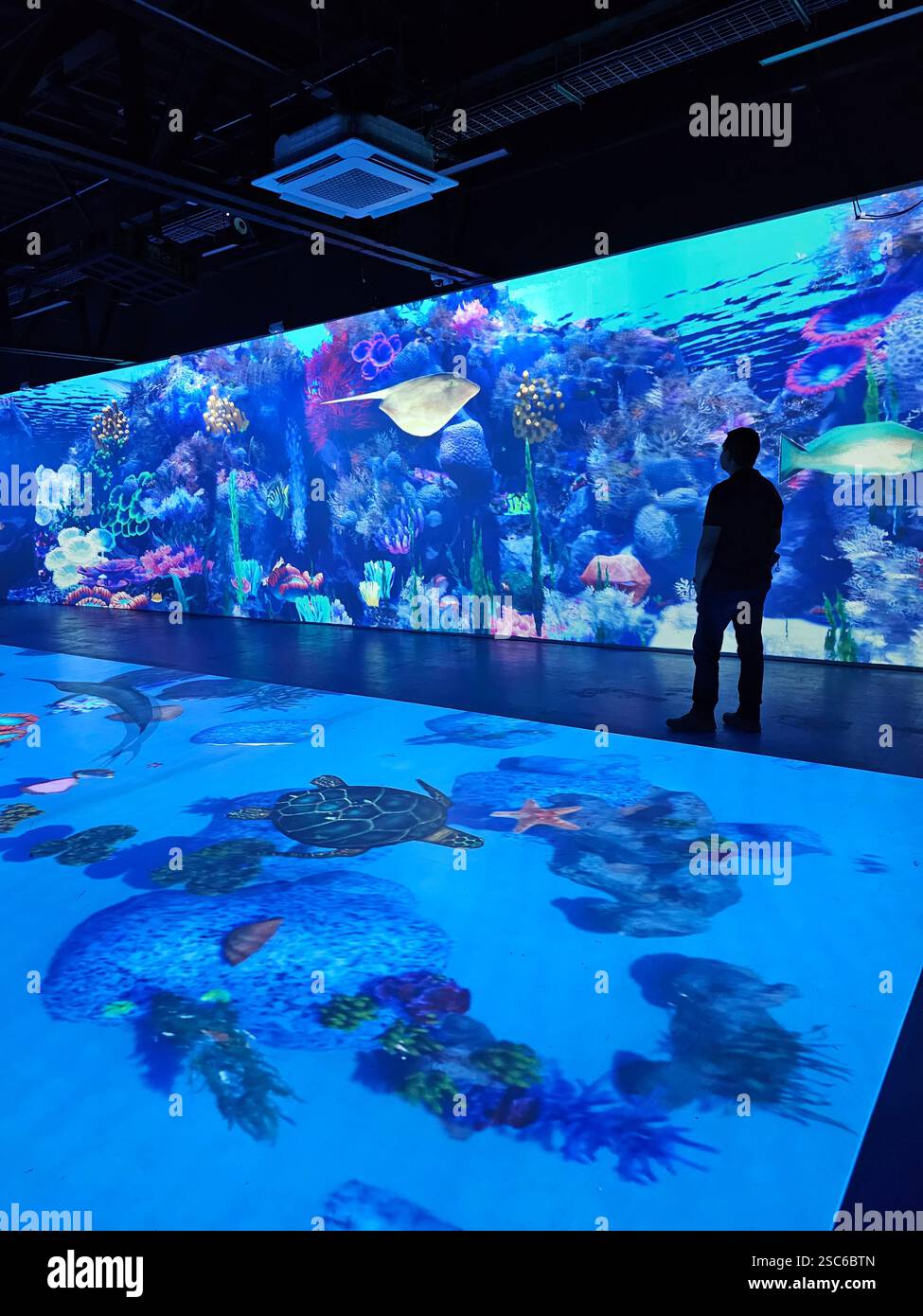 Mexico City, Mexico - Feb 28 2024: Inside the Barco Utopia in ...