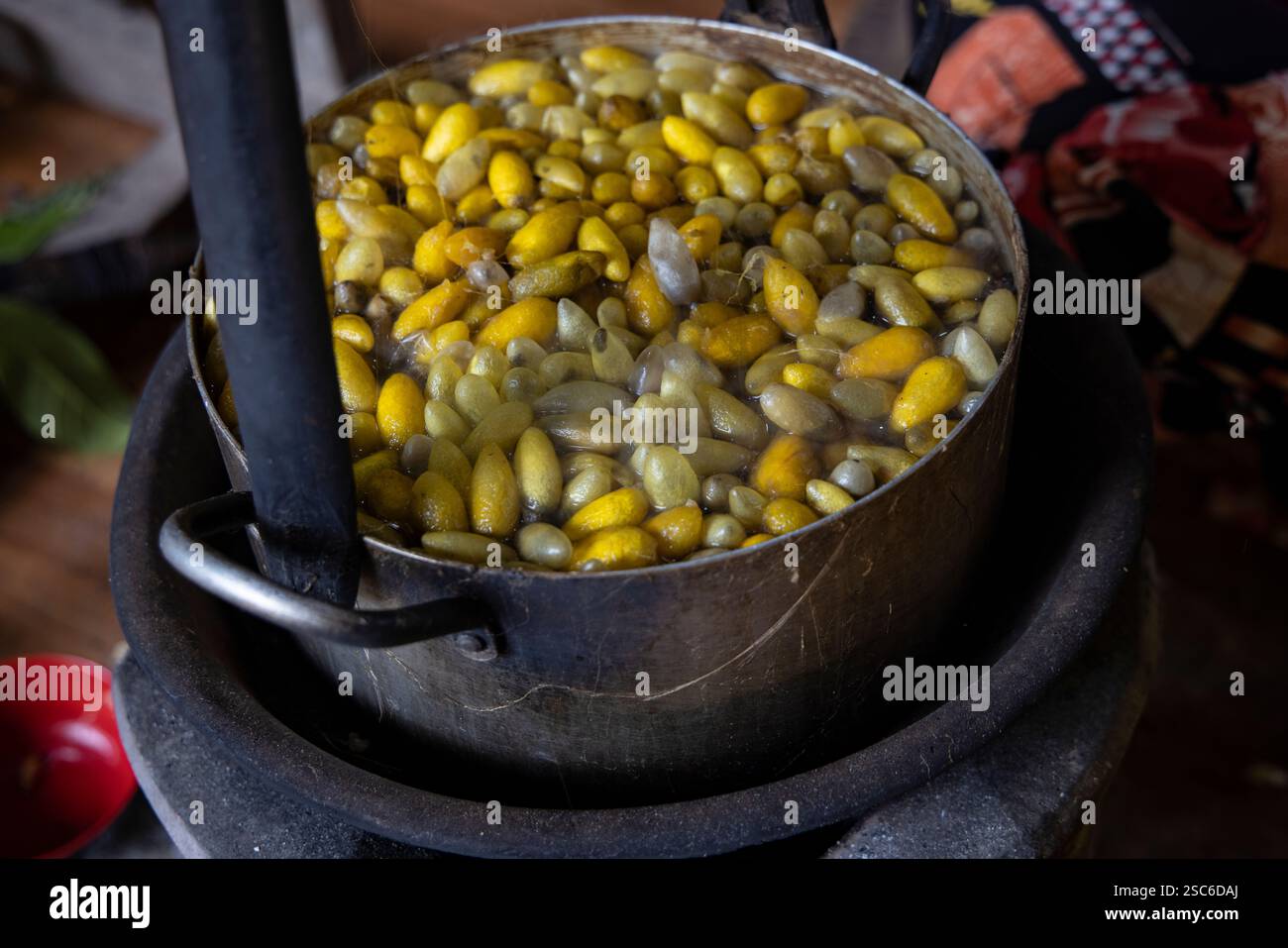 Detail of golden silkworm cocoons being heated in a handicraft factory ...
