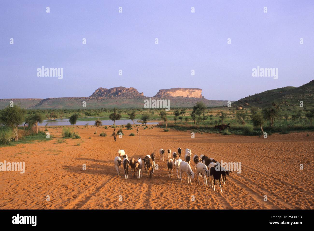 Landscape In The Land Of The Dogon. Africa. Mali. Dogon Stock Photo - Alamy