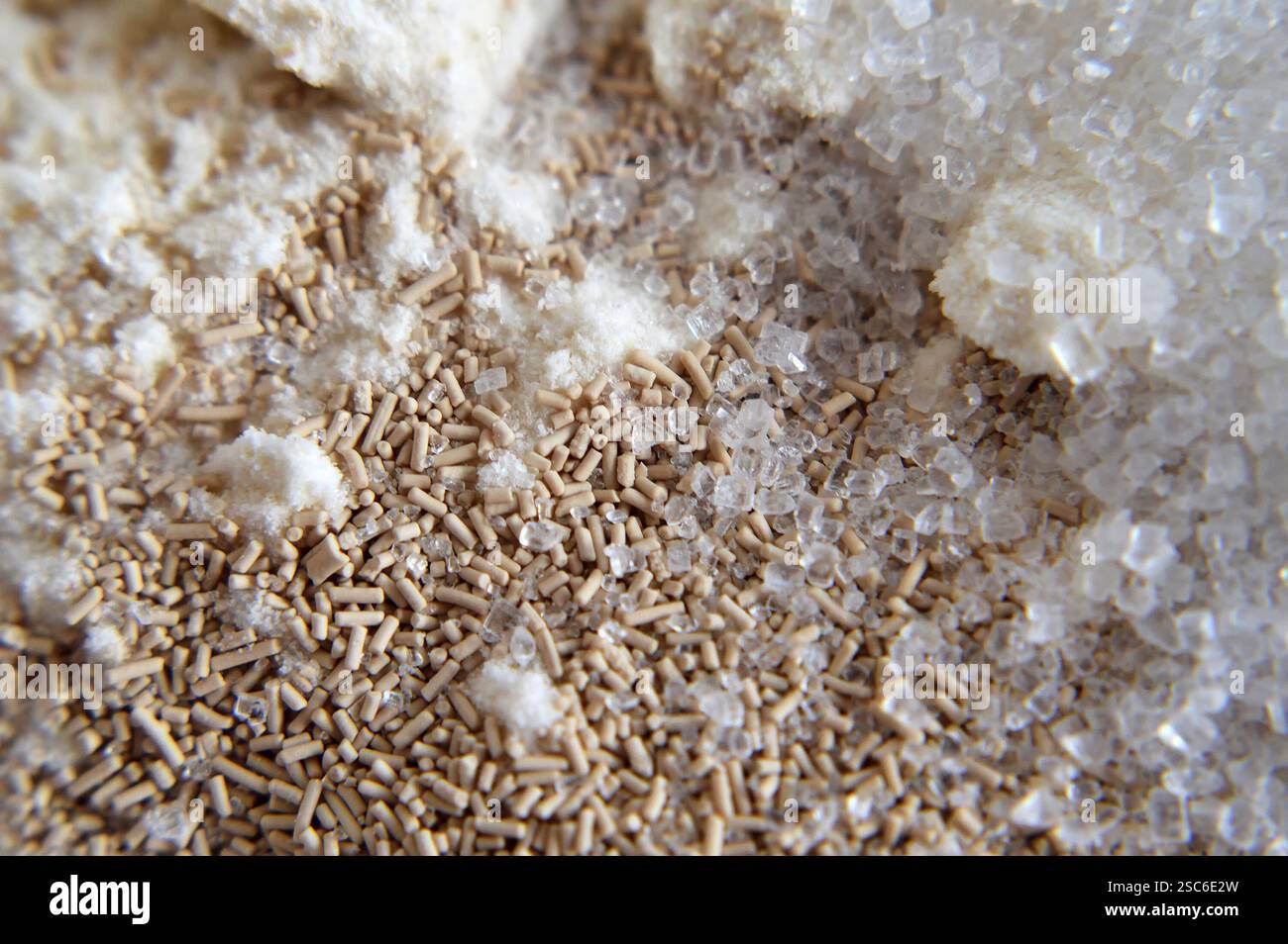 Active dry yeast Stock Photo - Alamy
