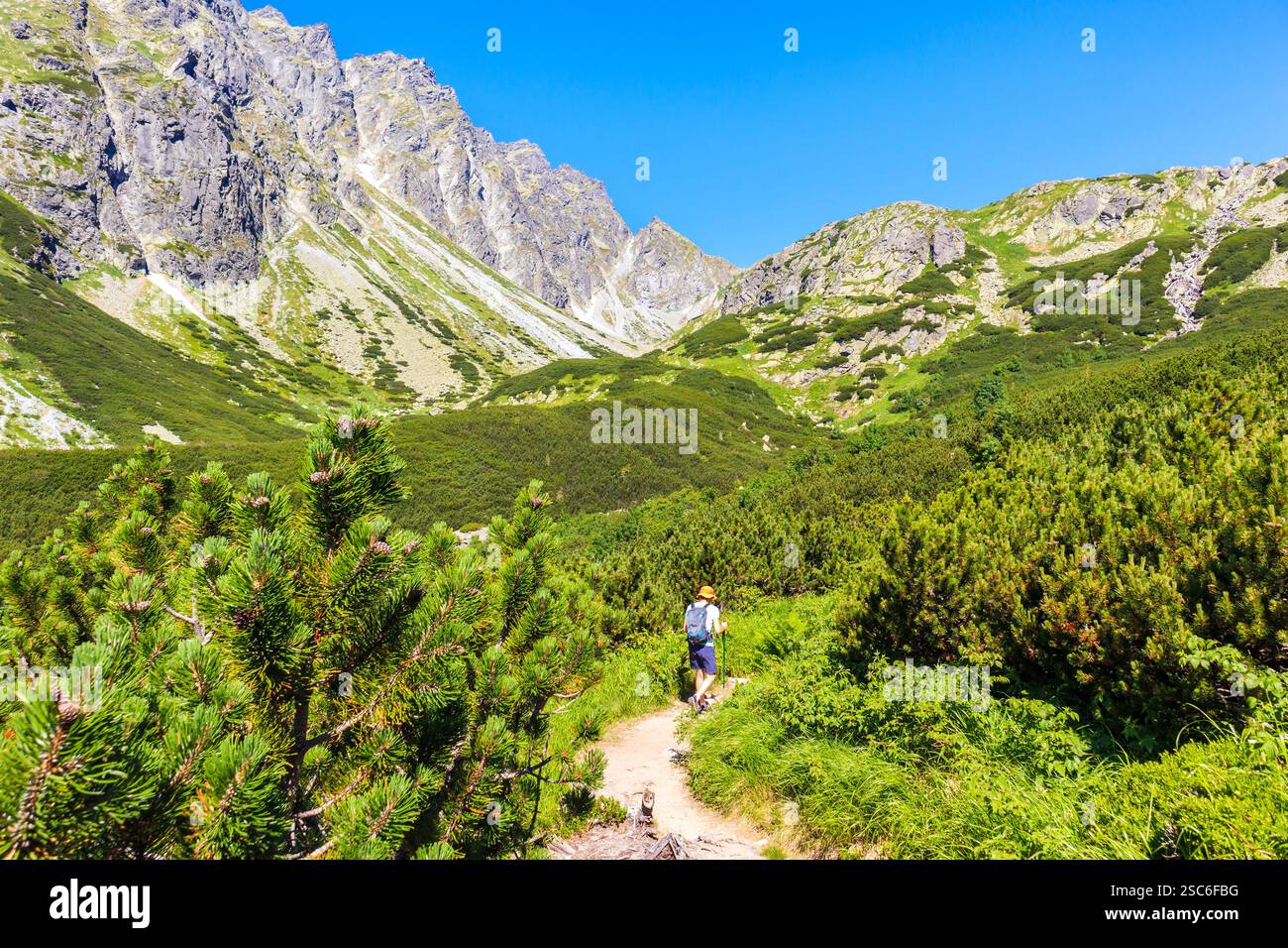 Woman tourist hiking in Hinczowa valley on sunny summer day, High Tatra ...