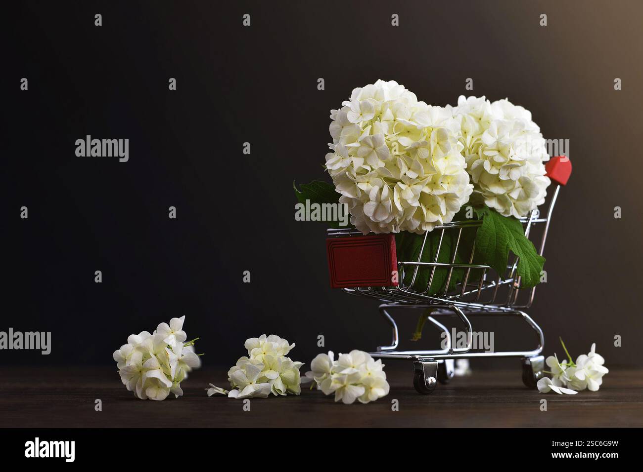 Hydrangeas flowers basket hi-res stock photography and images - Alamy