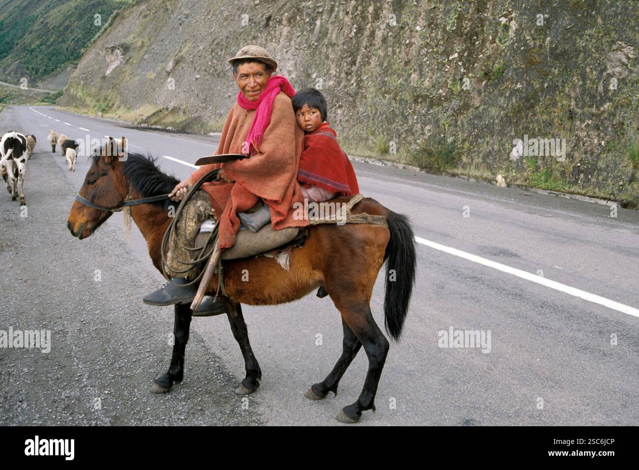 Ecuador. Surrounding of Quito. Indios Stock Photo - Alamy