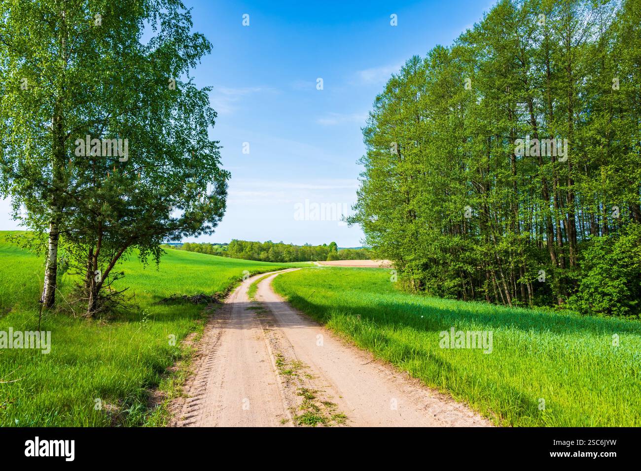 Gravel road among green fields in Suwalski Landscape Park, Podlasie ...