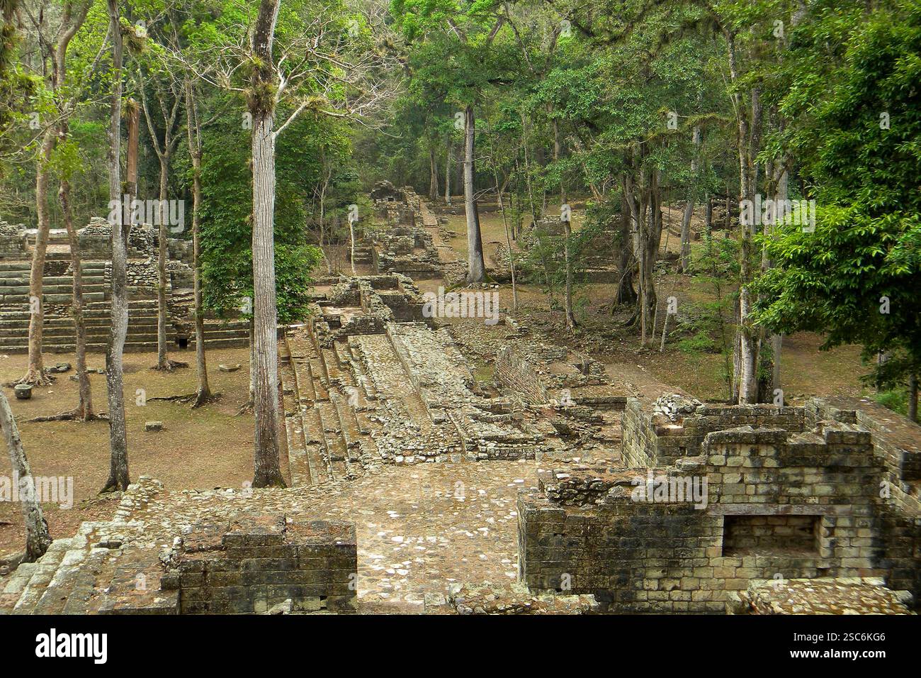 Copan Ruins. Honduras Stock Photo - Alamy