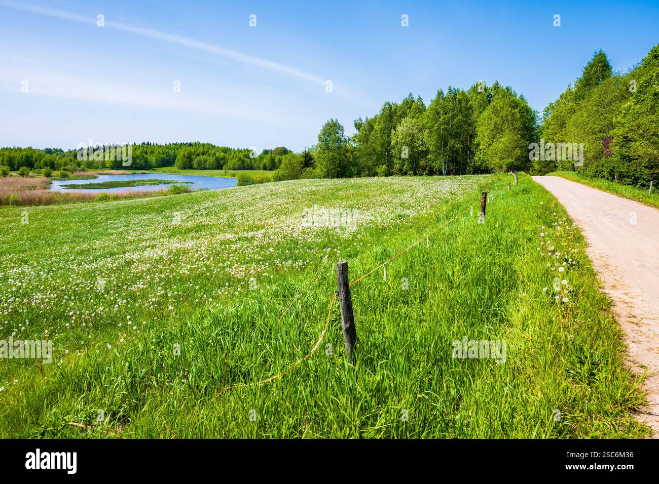 Gravel road among green fields in Suwalski Landscape Park, Podlasie ...