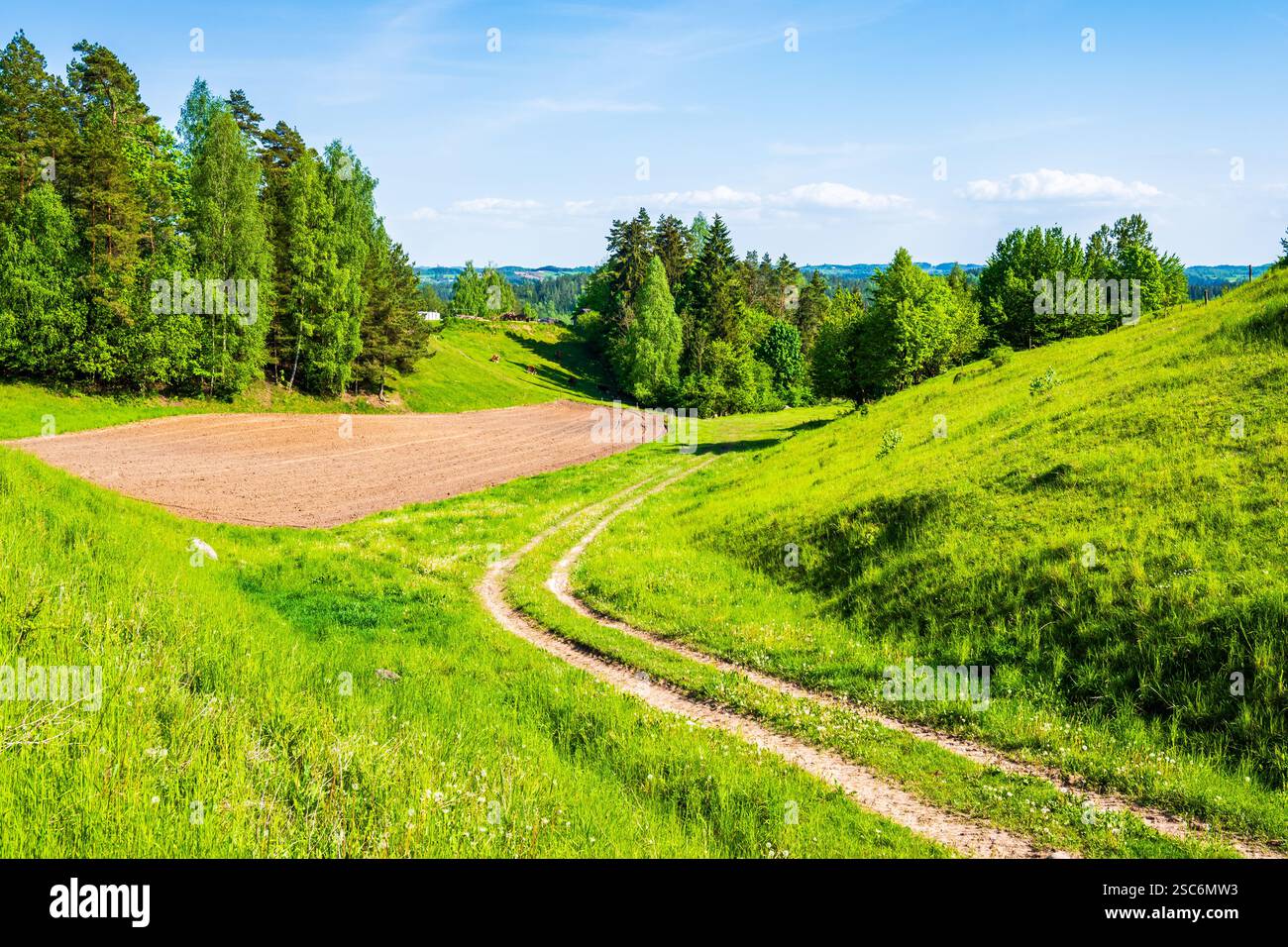 Rural road in green farming landscape with meadows, Suwalski Landscape ...