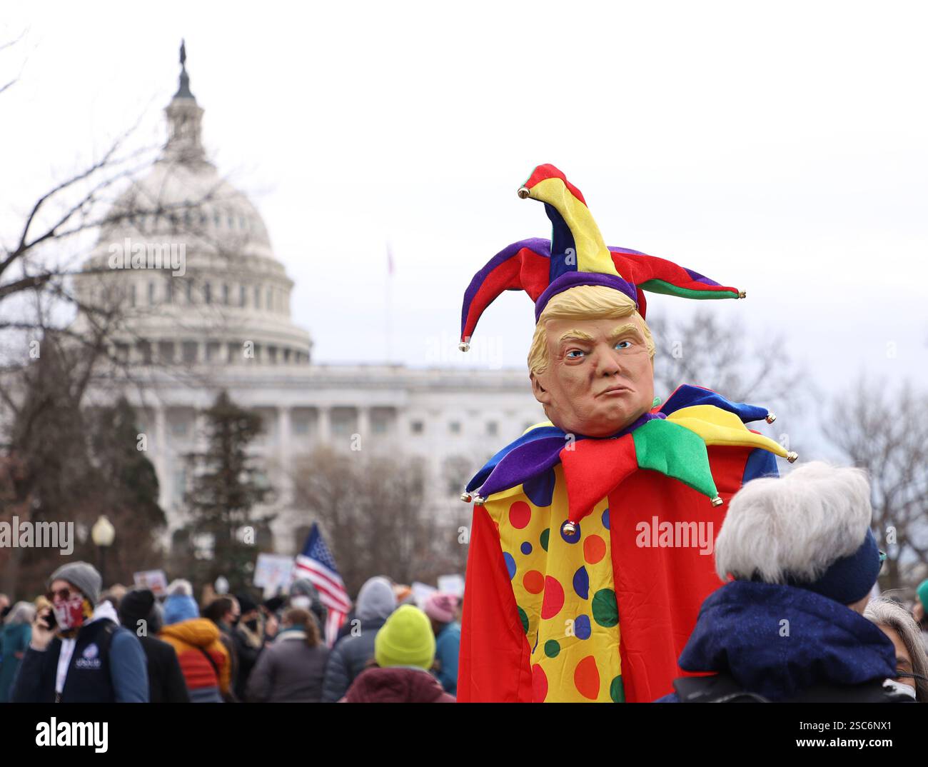 Washington Dc, Virginia, USA. 5th Feb, 2025. An effigy of US President ...