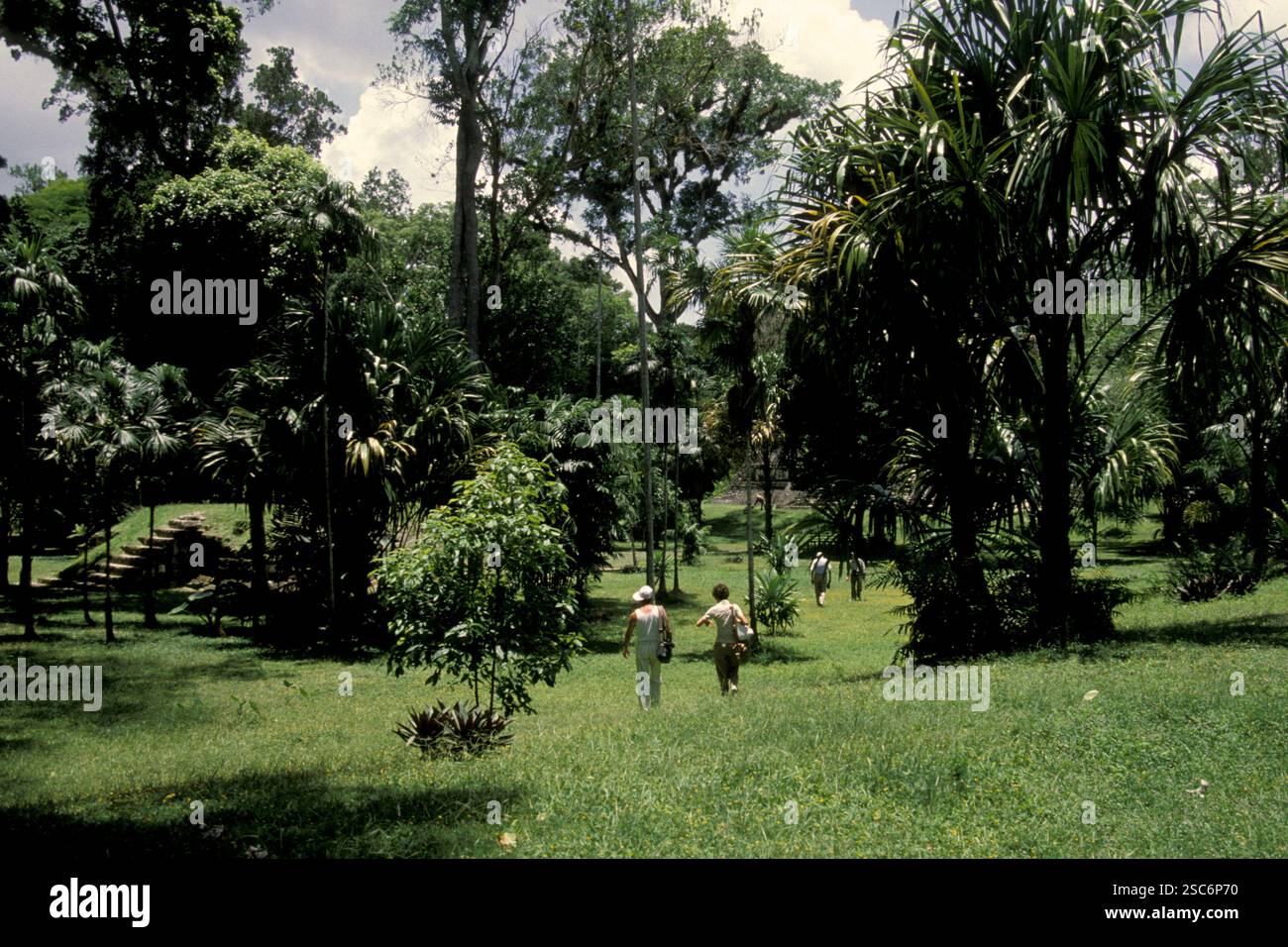 Guatemala peten hi-res stock photography and images - Alamy