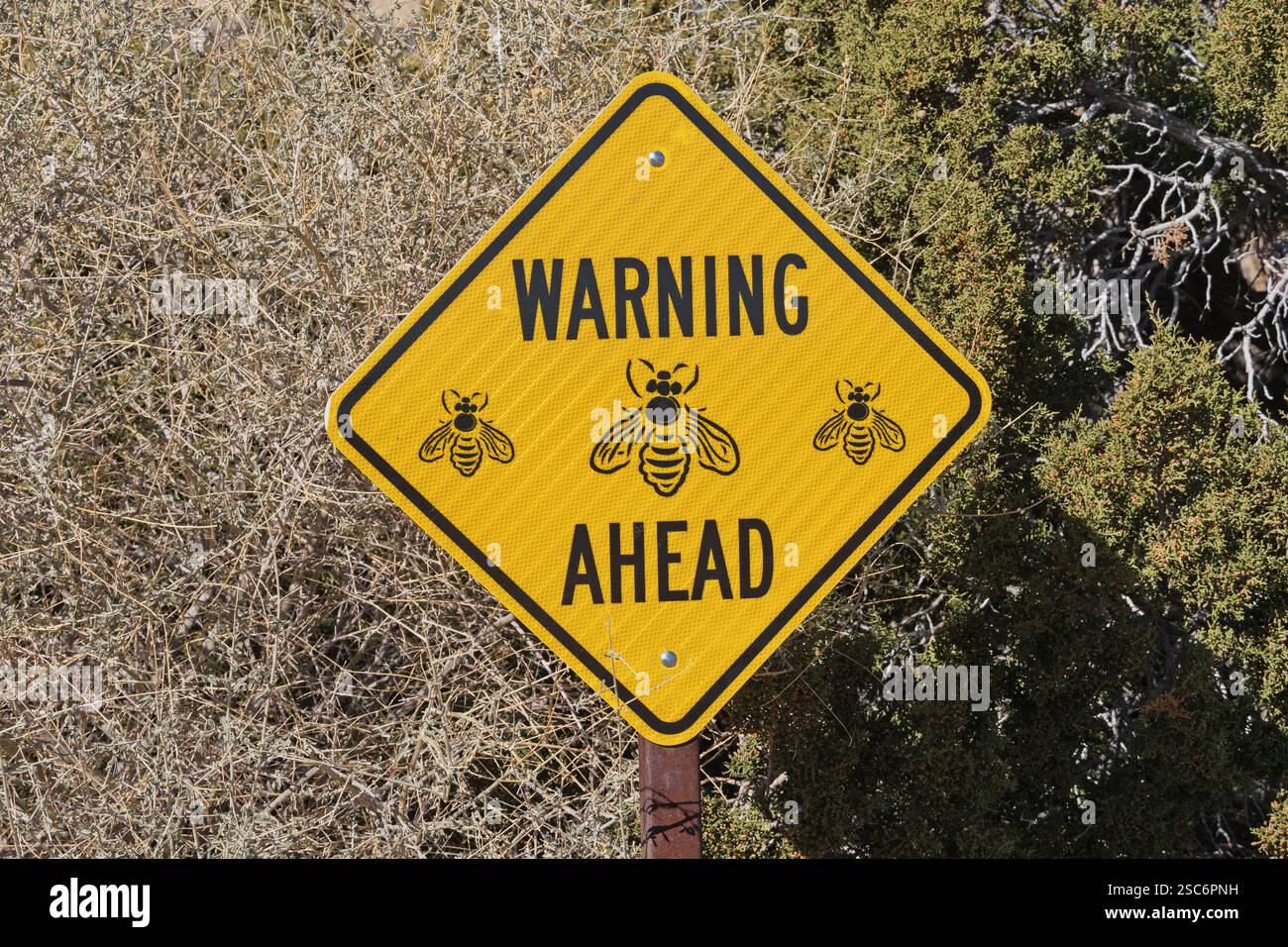 Warning bees ahead sign hi-res stock photography and images - Alamy