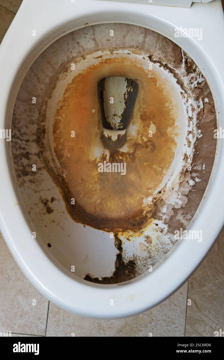 dirty gross toilet bowl with mildew mold and biofilm Stock Photo - Alamy