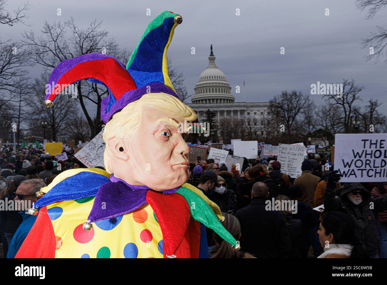 Washington, United States. 05th Feb, 2025. A puppet of Trump in a ...