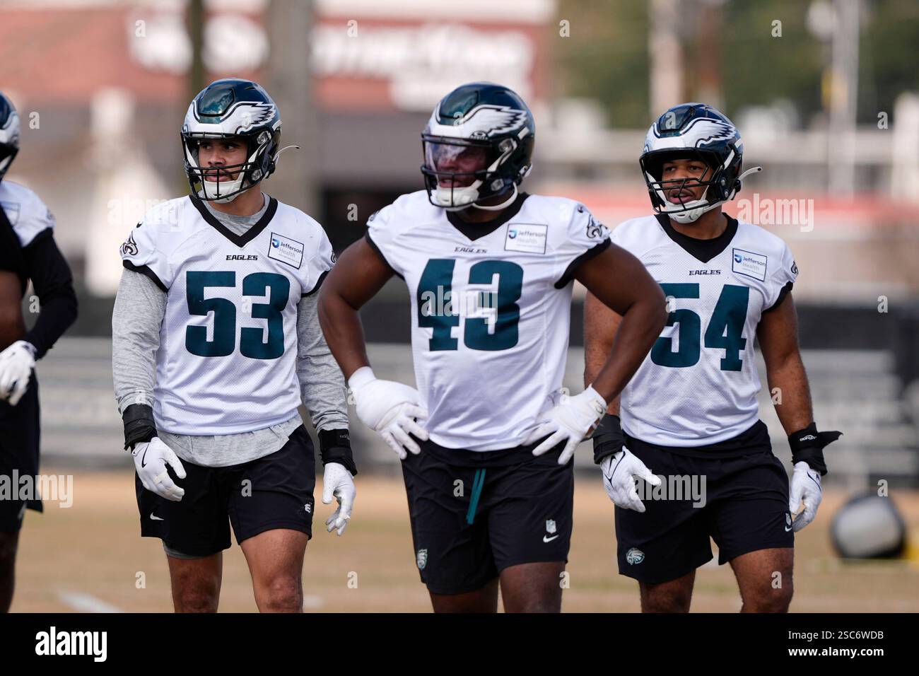 Philadelphia Eagles linebackers Zack Baun (53), Nicholas Morrow (43 ...