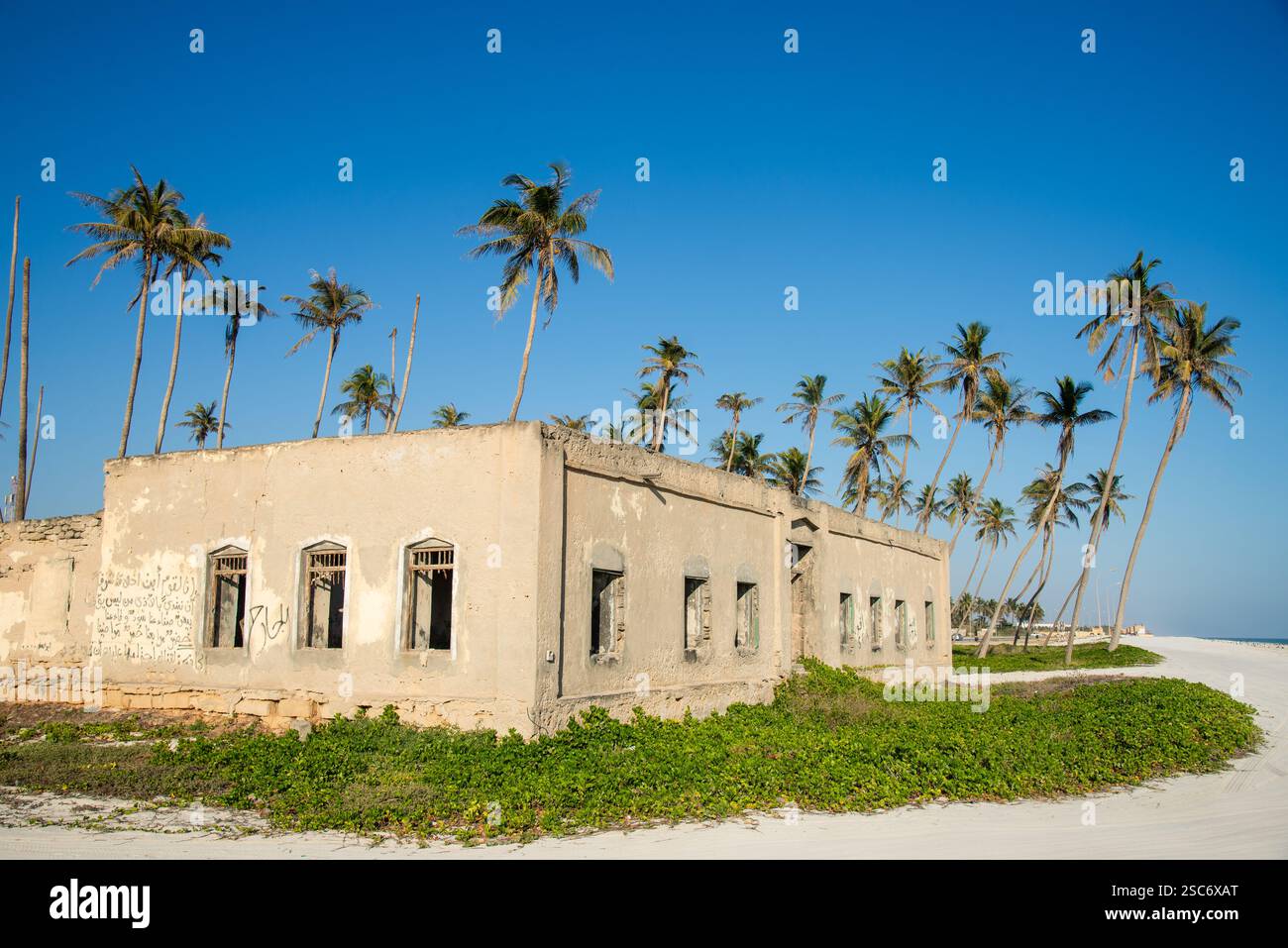 ruin and palmtrees at beach near Salalah, Oman Stock Photo - Alamy