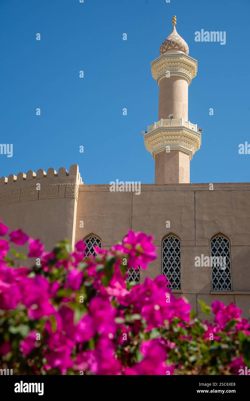 colorful bougainvillea and mosque at Nizwa, Oman Stock Photo - Alamy
