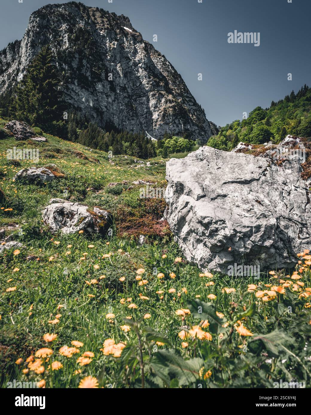 Grosser mythen mountain in switzerland hi-res stock photography and ...