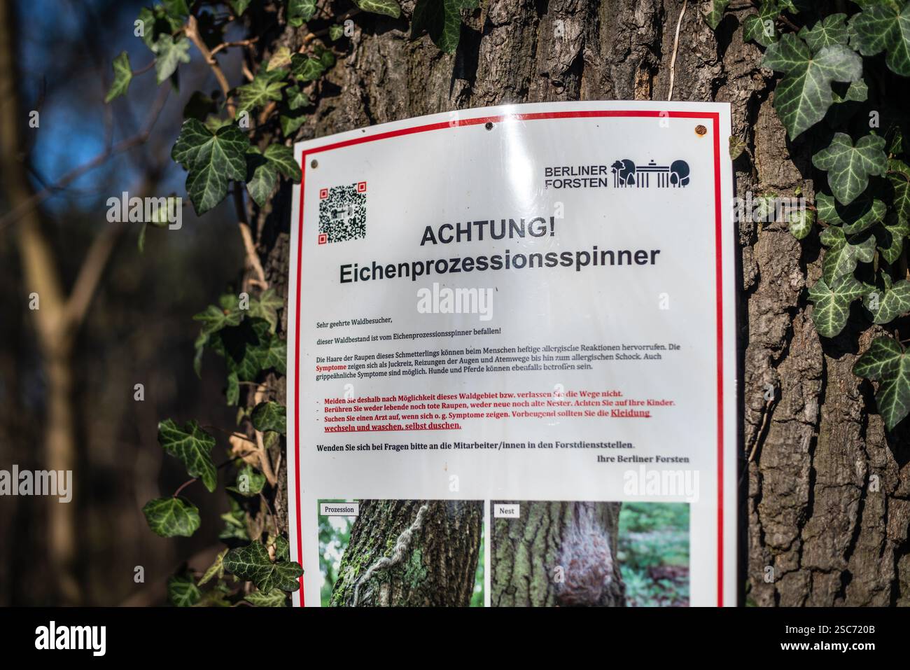 Warnschild eichenprozessionsspinner hi-res stock photography and images - Alamy