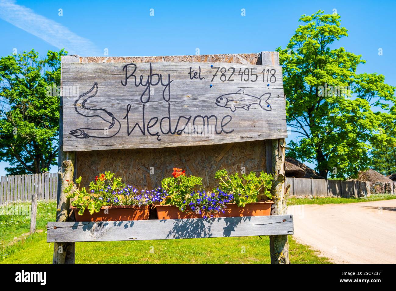 Rog forest poland hi-res stock photography and images - Alamy