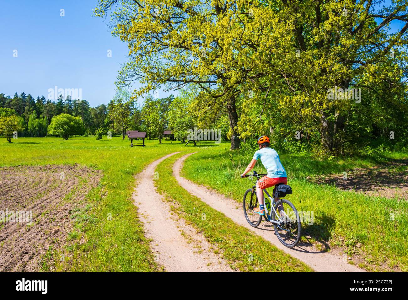 Woman cyclist riding bicycle on gravel forest road, Wigry National Park ...