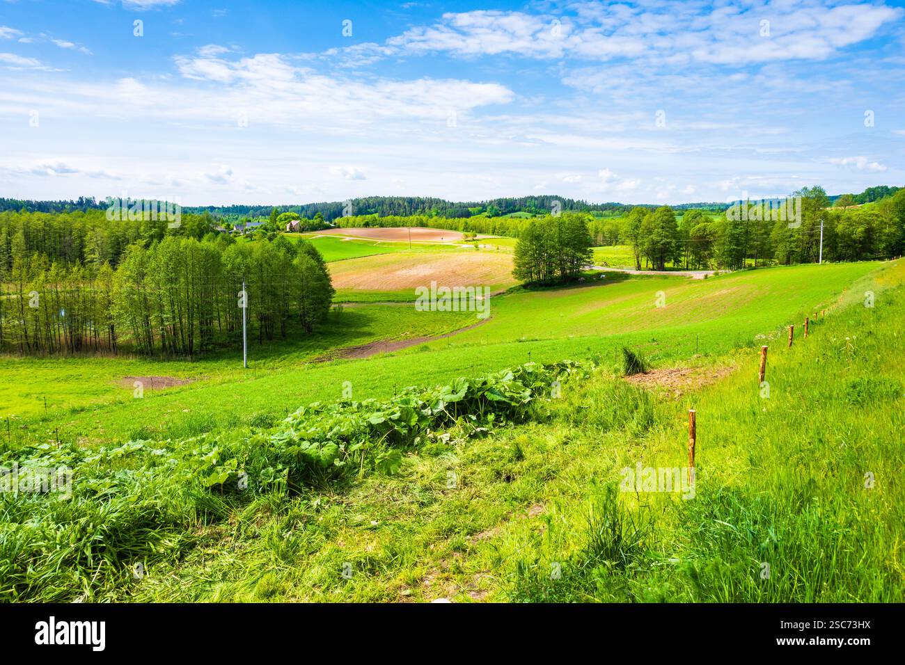 View of green meadows and farming fields in spring season, Suwalski ...