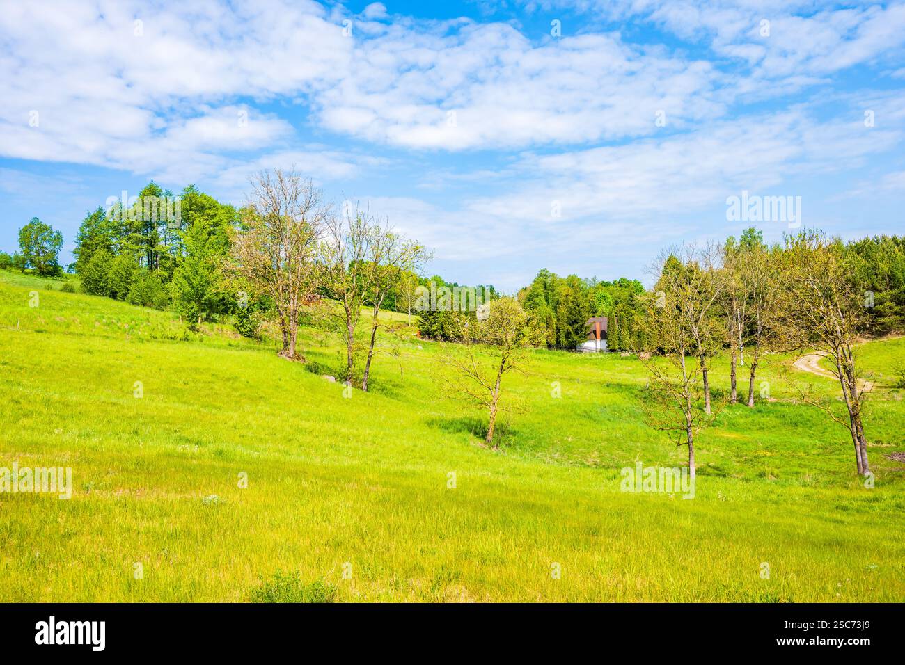 Wooden pier on shore of Pobondzie lake in spring season, Suwalski ...