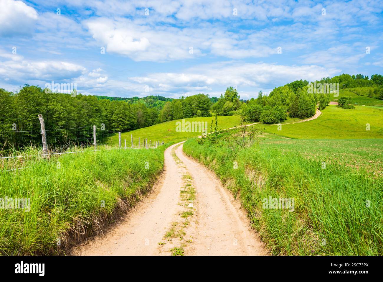 Rural road in green farming landscape with meadows, Suwalski Landscape ...
