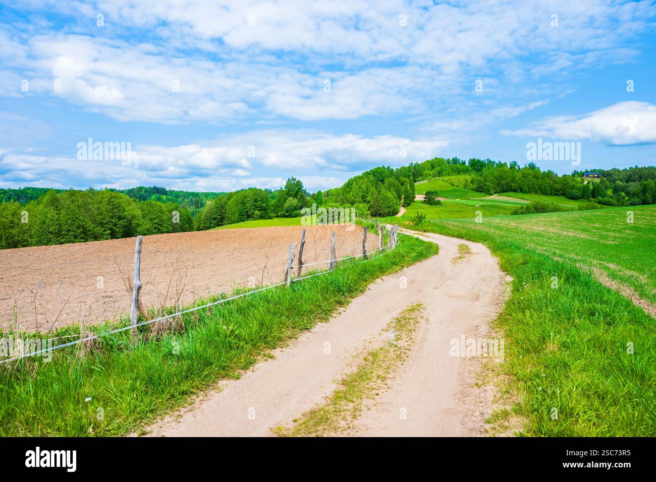 Rural road in green farming landscape with meadows, Suwalski Landscape ...