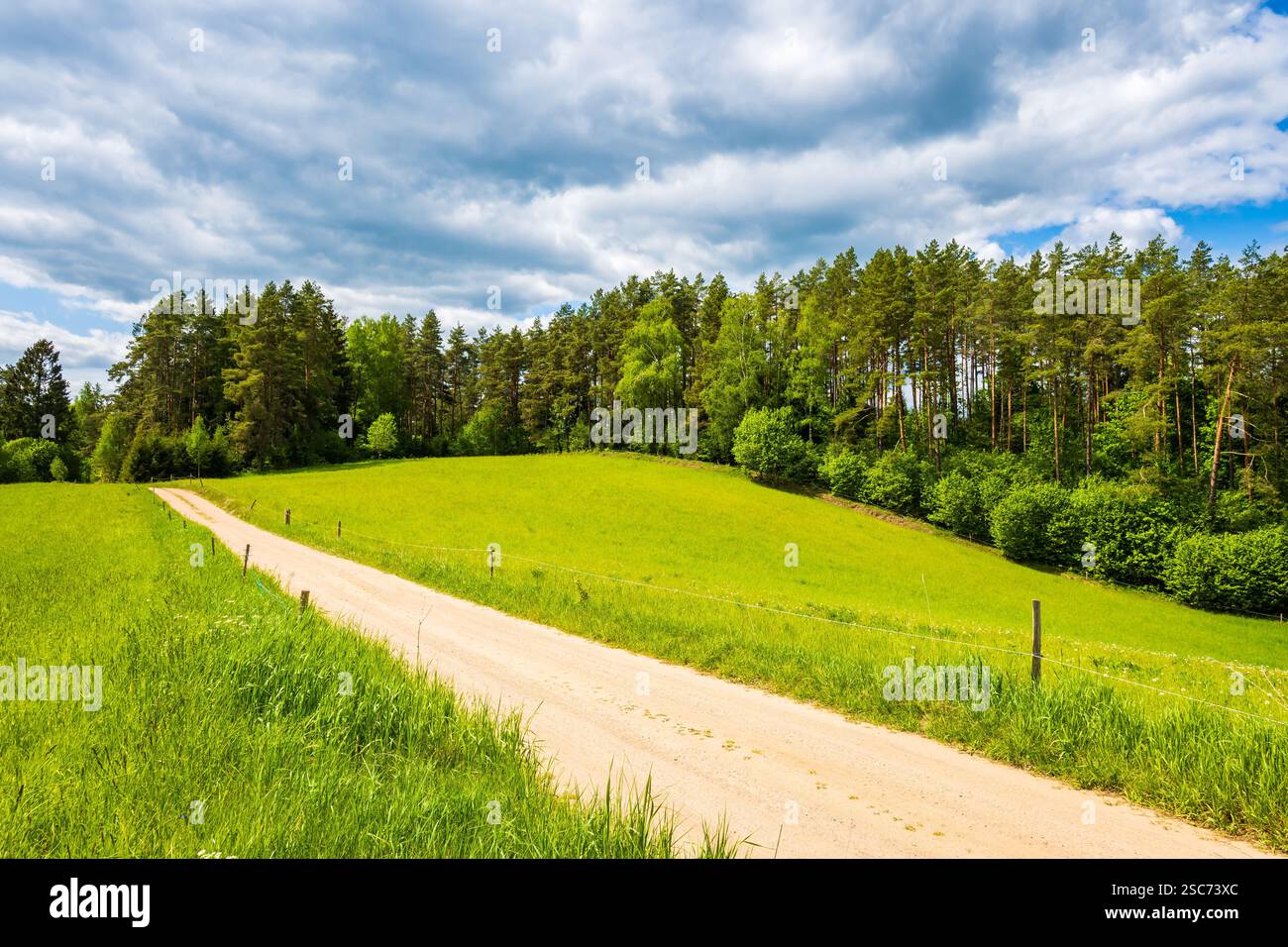 Rural road in green farming landscape with hills and meadows, Suwalski ...