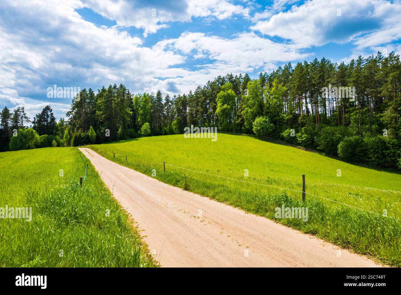 Rural road along green fields and meadows, Suwalski Landscape Park ...