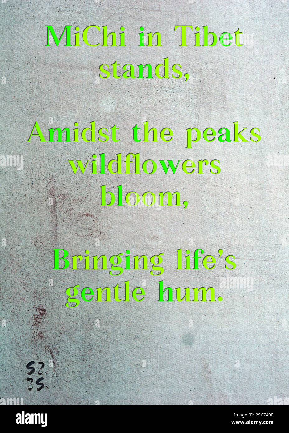 MiChi in Tibet stands, Amidst the peaks wildflowers bloom, Bringing ...