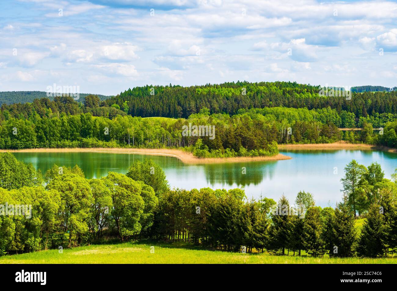 View of Jaczno lake from hill with green meadow and trees, Suwalski ...