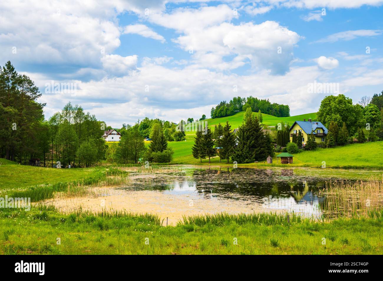 Small pond in green farming landscape of Postawele village, Suwalski ...
