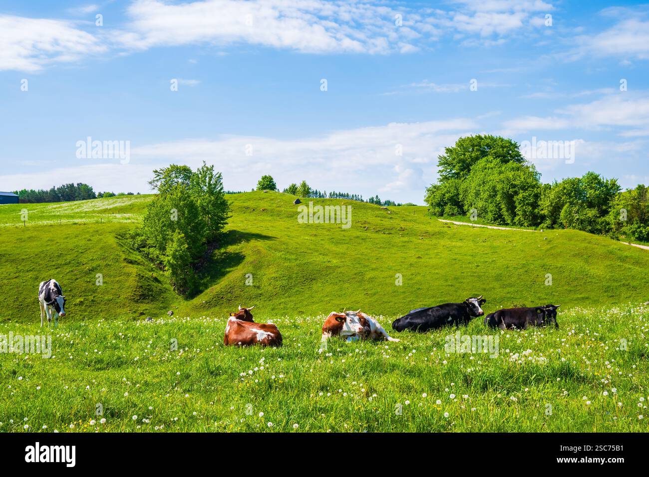 Small shrine along rural road in green landscape with meadows and trees ...