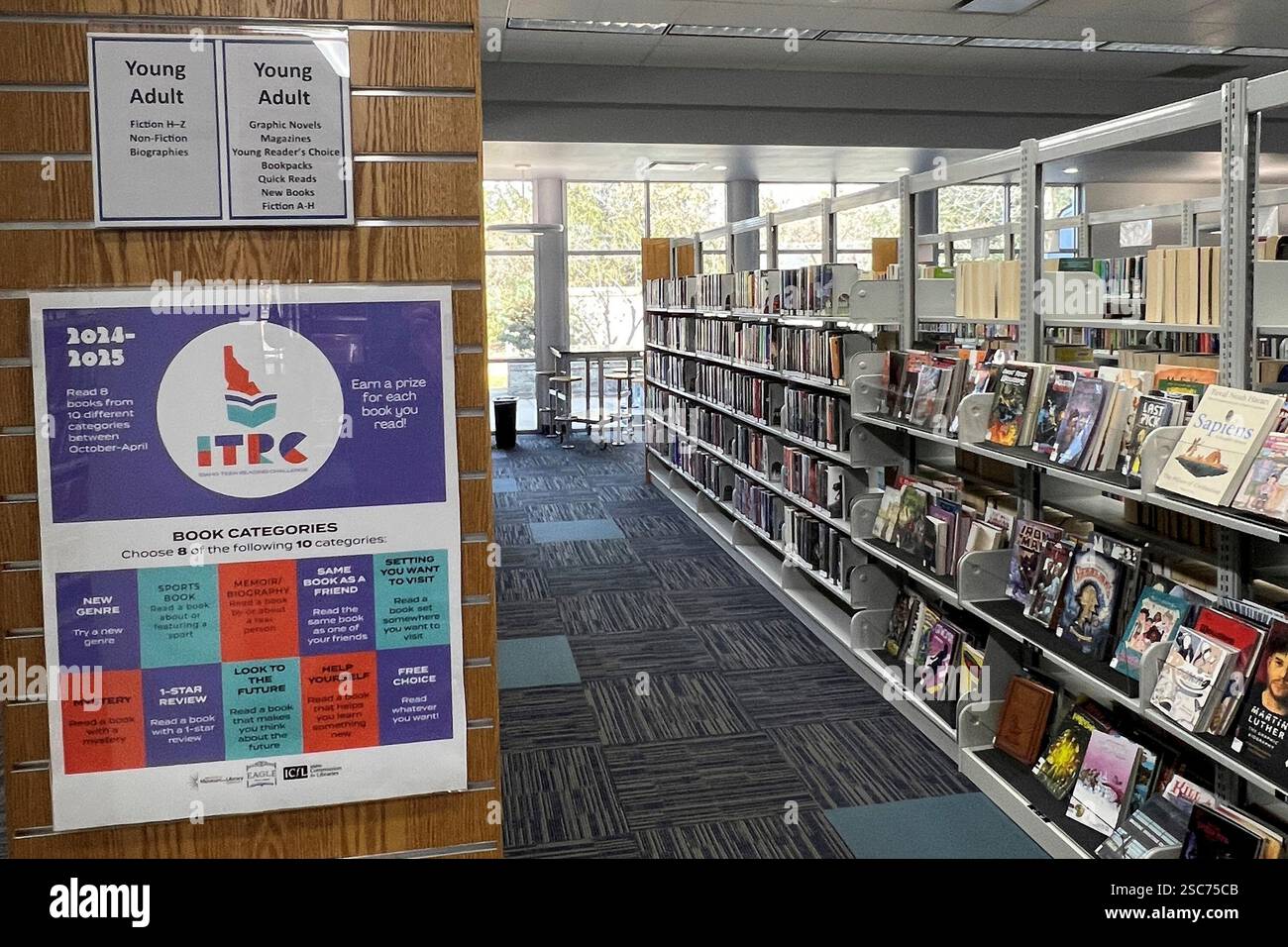 Shelves of books in the "young adult" section of a public library in ...
