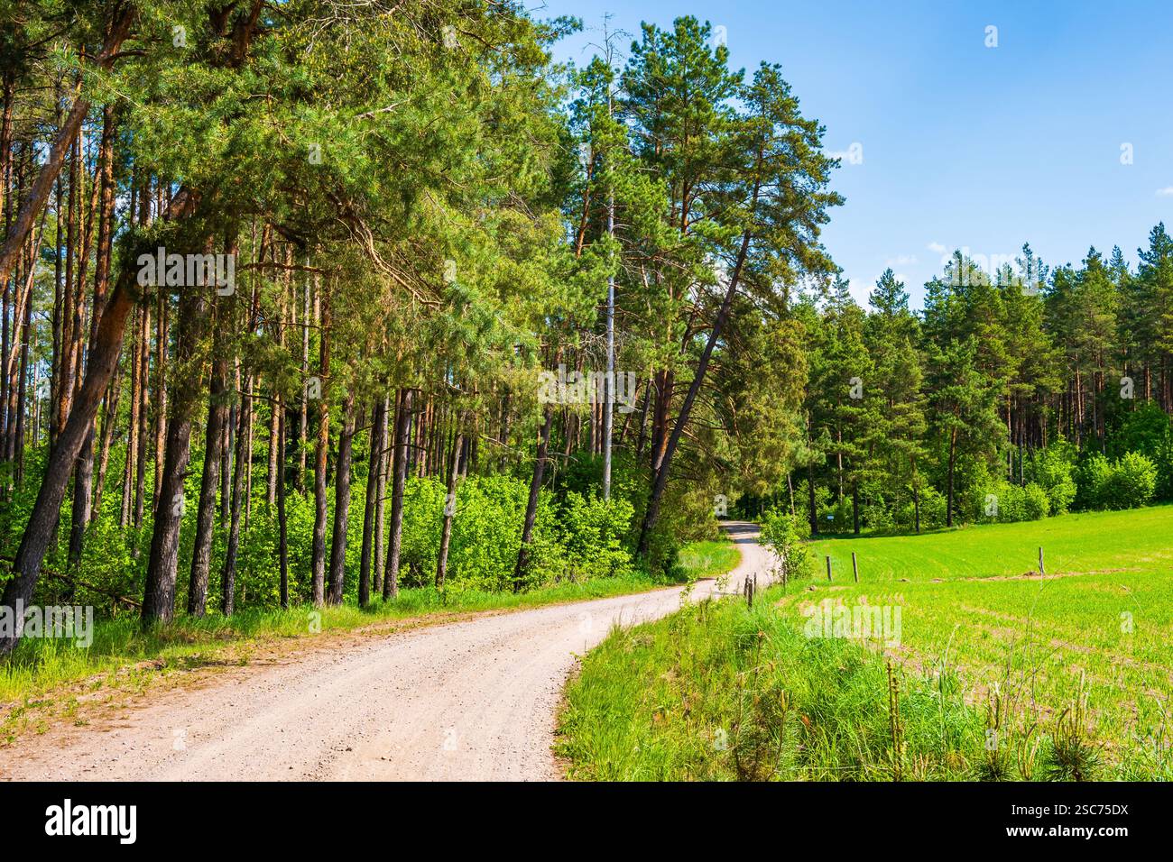 Rural forest road along green fields and meadows, Suwalski Landscape ...