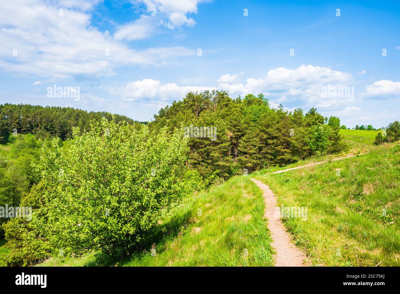 Path along Czarna Hancza river and green fields in spring season ...