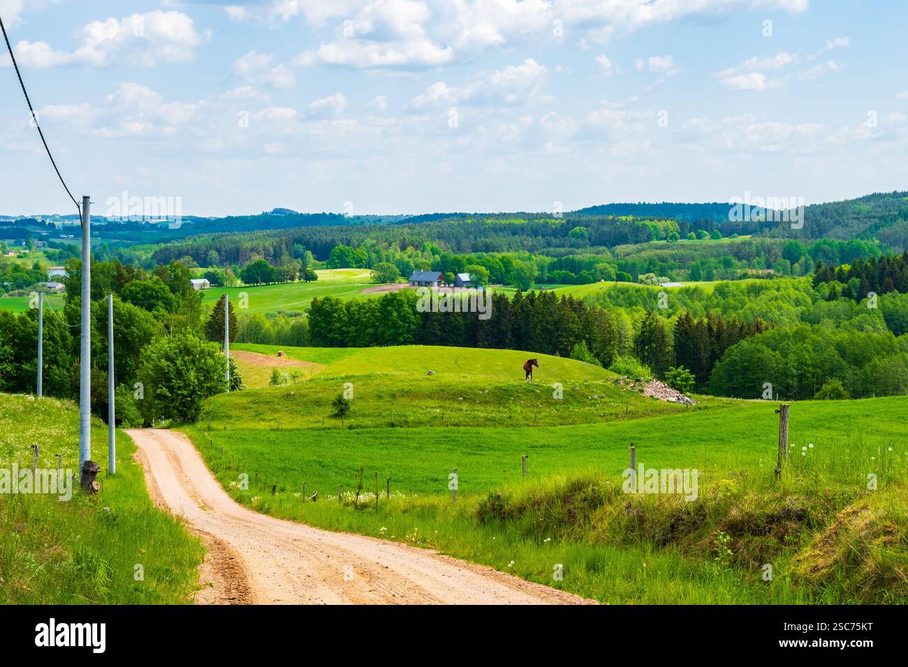 Countryside dirt road along green fields and meadows, Suwalski ...