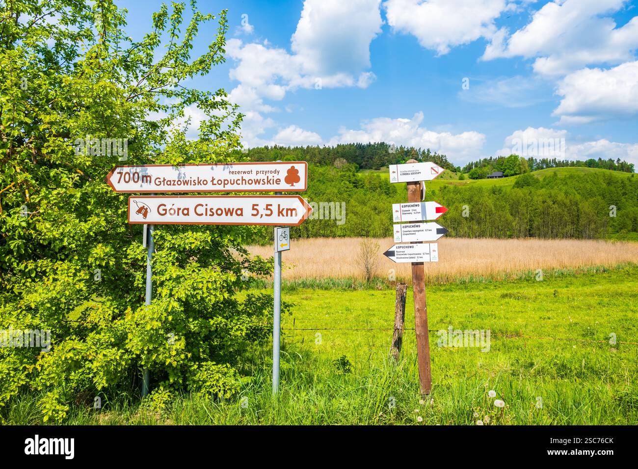 UDZIEJKI VILLAGE, SUWALSKI LANDSCAPE PARK - MAY 23, 2023: cycling and ...