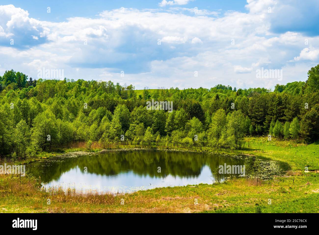 Small lake in green farming landscape of Udziejki village, Suwalski ...