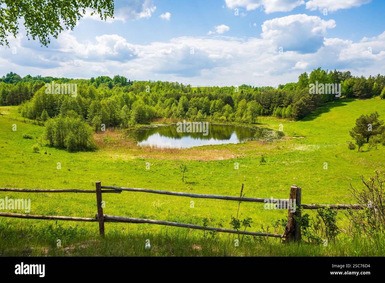 Small lake in green farming landscape of Udziejki village, Suwalski ...