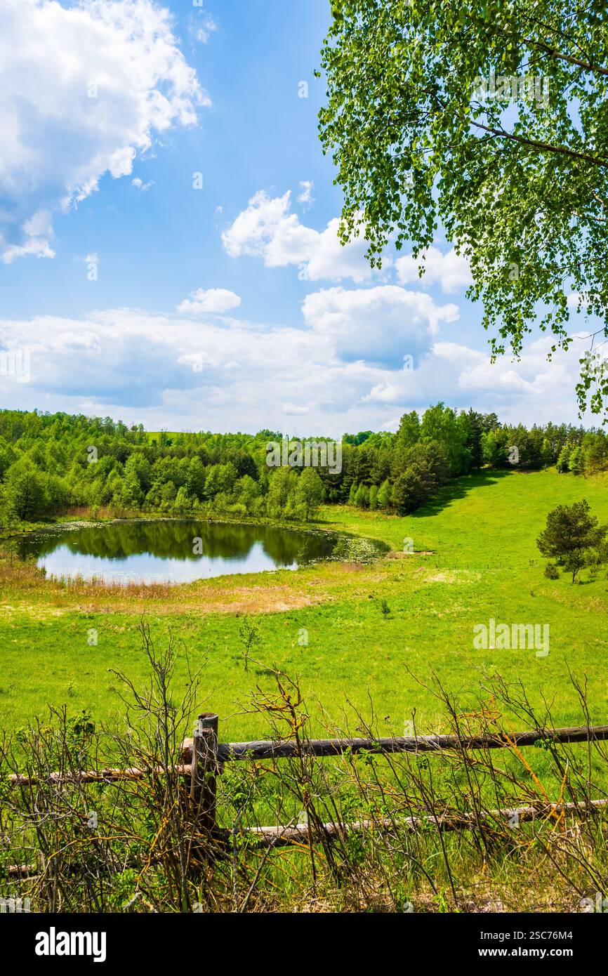 Small lake in green farming landscape of Udziejki village, Suwalski ...