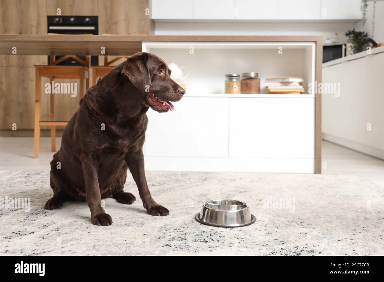 Products feeding on kitchen hi-res stock photography and images - Alamy