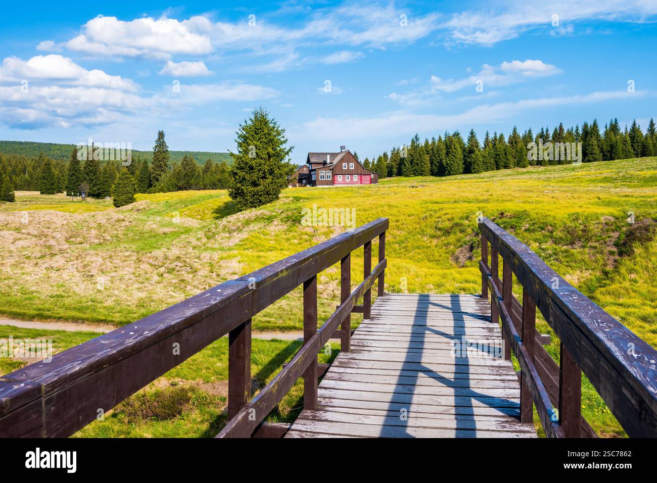Wooden bridge over Jizerka river and green meadows with spruce trees in ...